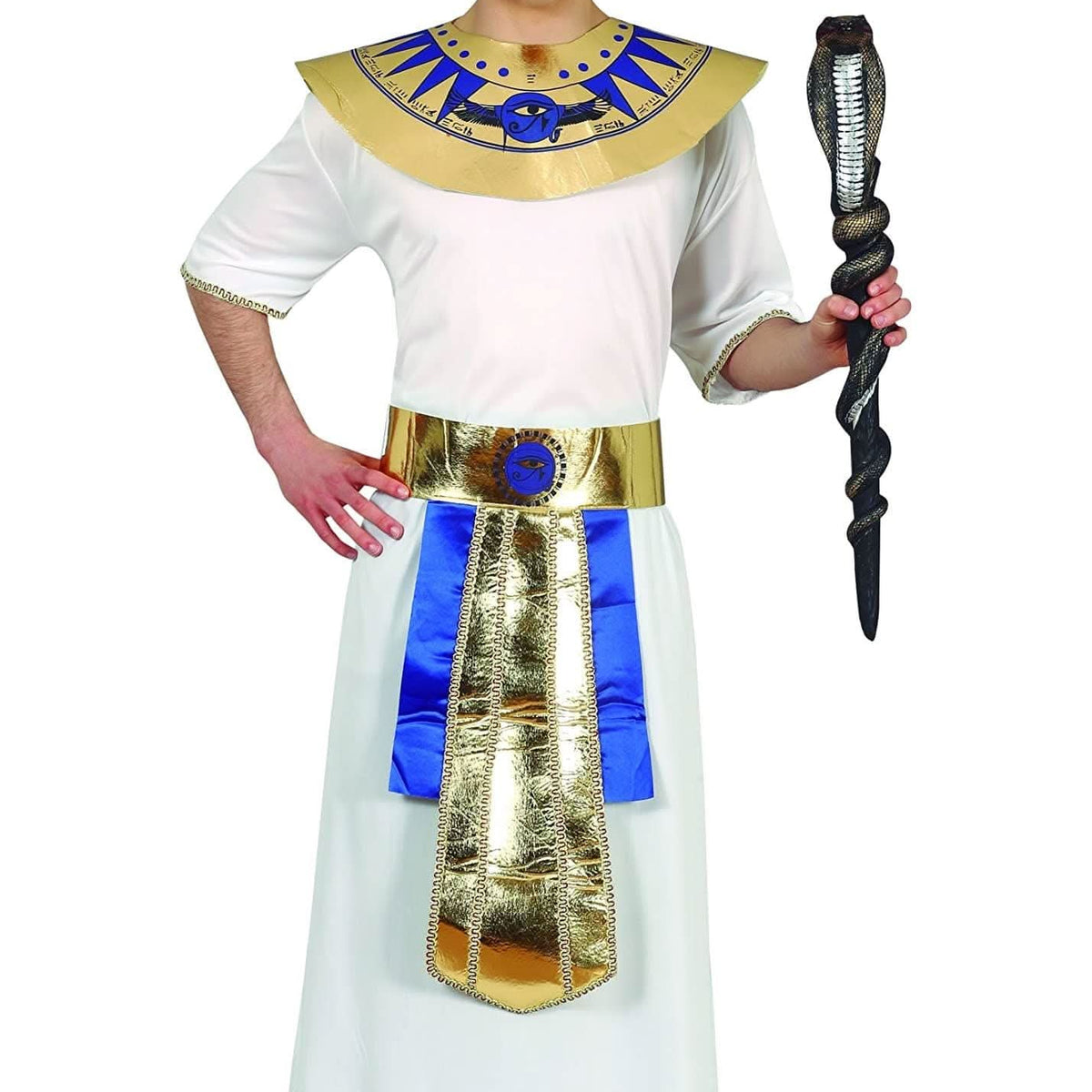 Egyptian Pharaoh Costume for Kids 10-12 Years with Gold Accents ...